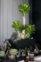 China Anti Aging Artificial Succulent Plant Home Interior Landscape Set Pieces Potted for sale