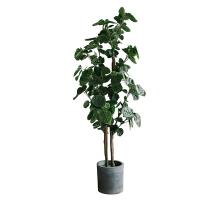 China Bonsai Nordic Artificial Money Ficus Tree Home Living Room Floor Decor for sale