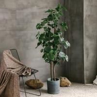 China Bonsai Nordic Artificial Money Ficus Tree Home Living Room Floor Decor for sale