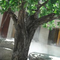 China 350cm Height Artificial Lucky Tree Potted Landscaping Plants for sale