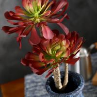 China Rare Red Artificial Succulent Ornaments Flowers For Pub for sale