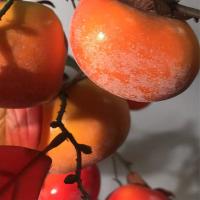 China Anti Fading Artificial Persimmon Red Fruit Tree Home Desktop Soft Decoration for sale