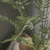 China Corner Landscaping Fern Artificial Potted Floor Plants Anti Fading for sale
