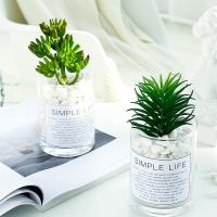 China Nordic Ins Green Artificial Succulent Plant Plastic Fleshy Small Potted Decorate for sale