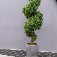 China Boxwood Ball Artificial Potted Floor Plants Indoor Nordic Home Decoration for sale