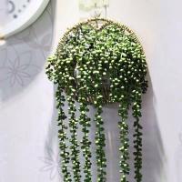 China OEM Rabbit Ears Wall Hanging Flower Basket American Style for sale