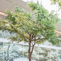 China 2M Height Artificial Landscape Trees Ficus Plant Store Ornaments for sale