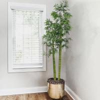 China Buddha Bamboo Artificial Potted Floor Plants Indoor Landing Decorative for sale