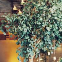 China Artificial Plants Green Eucalyptus Tree For Mall Hotel Decoration for sale
