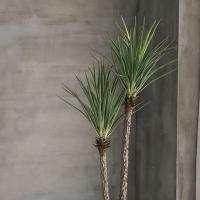 China 120cm Artificial Plant Faux Bonsai Dracaena Anti UV Plastic Leaves for sale