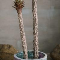 China 120cm Artificial Plant Faux Bonsai Dracaena Anti UV Plastic Leaves for sale