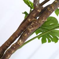 China 175cm Height Artificial Tropical Tree Green Foliage Plant Monstera For Home Decor for sale
