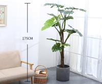 China 175cm Height Artificial Tropical Tree Green Foliage Plant Monstera For Home Decor for sale