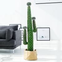 China Fashion Cactus And Succulent Fake Plastic Plant For Home Decoration for sale