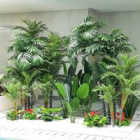 China Green Potted Indoor Travelers Palm Corner Landscape Leisure Place Ornaments for sale