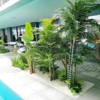 China Green Potted Indoor Travelers Palm Corner Landscape Leisure Place Ornaments for sale