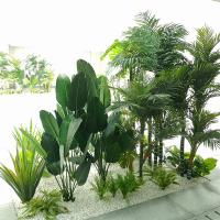China Green Potted Indoor Travelers Palm Corner Landscape Leisure Place Ornaments for sale