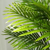 China Green Potted Indoor Travelers Palm Corner Landscape Leisure Place Ornaments for sale