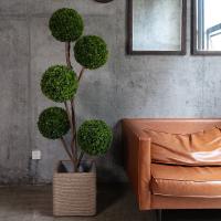 China 180cm Doorway Artificial Potted Floor Plants Anti Fading Indoor Green Boxwood for sale