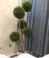 China 180cm Doorway Artificial Potted Floor Plants Anti Fading Indoor Green Boxwood for sale