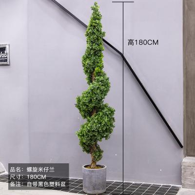 China Fire Proof S Shape Artificial Boxwood Plants For Decoration for sale