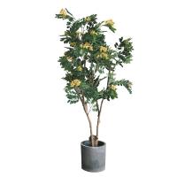 China Yellow Cassia Flowering Artificial Foliage Tree Hotel Decoration for sale