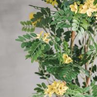 China Yellow Cassia Flowering Artificial Foliage Tree Hotel Decoration for sale