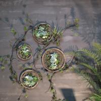 China Artificial Wall Hanging Plants Vertical Greening Creative Decoration Retro Pendant for sale