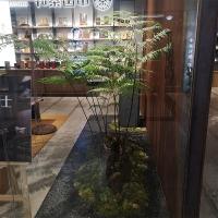 China 150cm Height Artificial Green Potted Bonsai Window Corner Landscaping Large Fern Tree for sale