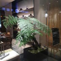 China 150cm Height Artificial Green Potted Bonsai Window Corner Landscaping Large Fern Tree for sale