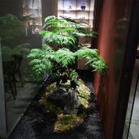 China 150cm Height Artificial Green Potted Bonsai Window Corner Landscaping Large Fern Tree for sale