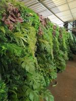 China Lifelike Vertical Greening Customized Hanging Plant Green Wall For Decor for sale