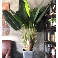 China 300cm Tall Artificial Traveller Palm Landscap Trees Potted Plant Landing Bonsai Bird Of Paradise for sale