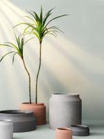 China 180cm Tall Artificial Landscape Trees Showroom Dracaena Potted Plants for sale