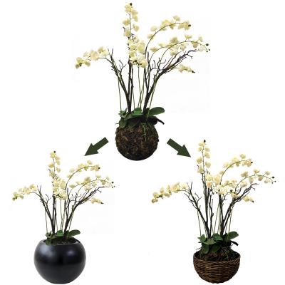 China Lifelike Green Artificial Tropical Plant For Office Table Moth Orchid for sale