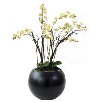 China Lifelike Green Artificial Tropical Plant For Office Table Moth Orchid for sale