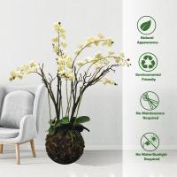 China Lifelike Green Artificial Tropical Plant For Office Table Moth Orchid for sale