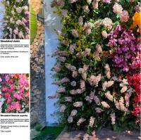 China OEM 40cm Height Artificial Green Plant Wall Indoor Decorative for sale