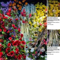 China OEM 40cm Height Artificial Green Plant Wall Indoor Decorative for sale