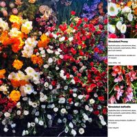 China OEM 40cm Height Artificial Green Plant Wall Indoor Decorative for sale