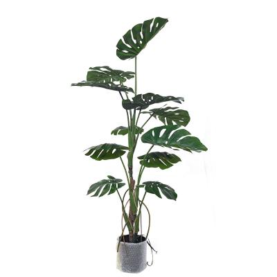 China Green Monstera Artificial Potted Floor Plants 180cm Height for sale