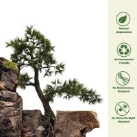China High Simulation Landscape Plastic Pine Tree 150cm Restaurant Ornaments for sale