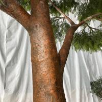 China Wind Resistance Fake Landscape Trees Senegal Acacia For Party Decor for sale