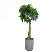 China Artificial Money Tree For Home Hanging Plants Decoration Green Color Plastic Grass Indor Decorati for sale
