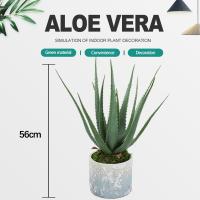 China Plastic Artificial Aloe Vera For Indoor Decoration Fake Plants for sale