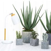 China Plastic Artificial Aloe Vera For Indoor Decoration Fake Plants for sale