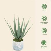 China Plastic Artificial Aloe Vera For Indoor Decoration Fake Plants for sale