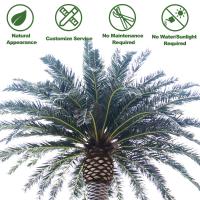 China Date Palm Garden Artificial Landscape Trees 2000cm Height UV Resistance for sale