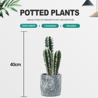China 18cm All Season Artificial Potted Floor Plants Mini Bonsai Succulent Countertop Ornaments for sale