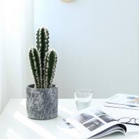 China 18cm All Season Artificial Potted Floor Plants Mini Bonsai Succulent Countertop Ornaments for sale